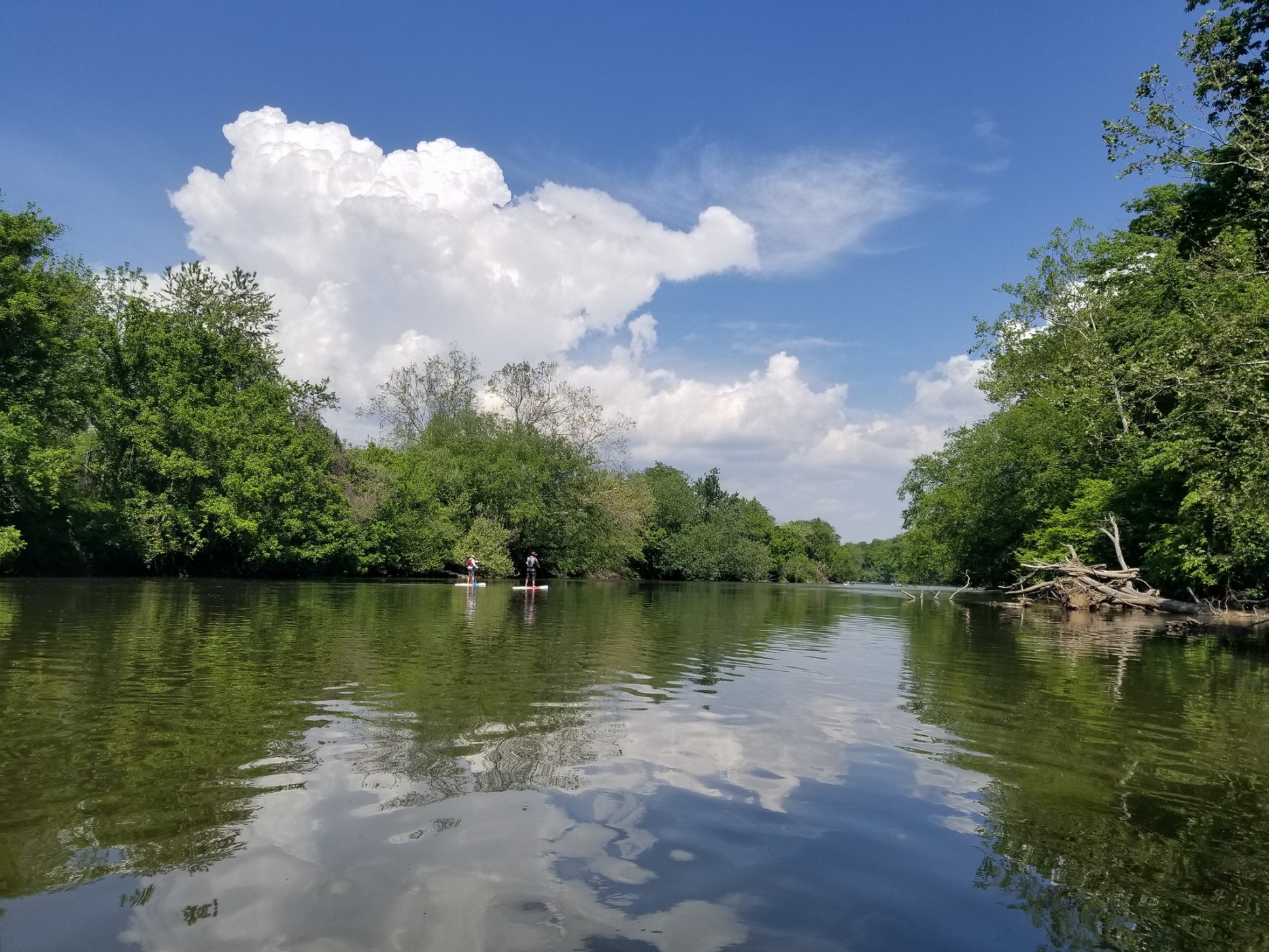 River Flow | French Broad Outfitters